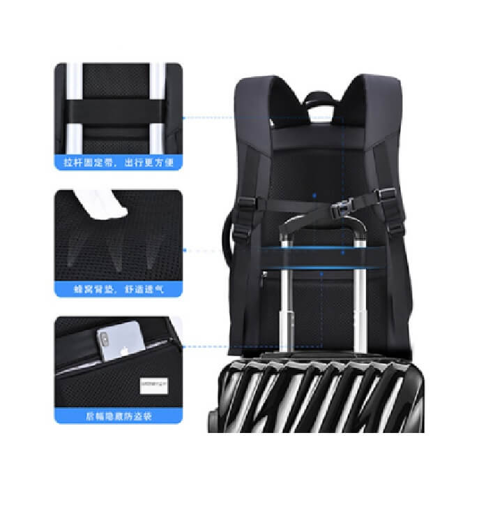 Shaolong 2020-2# 19 Inch Premium Quality Backpack at best price in ...